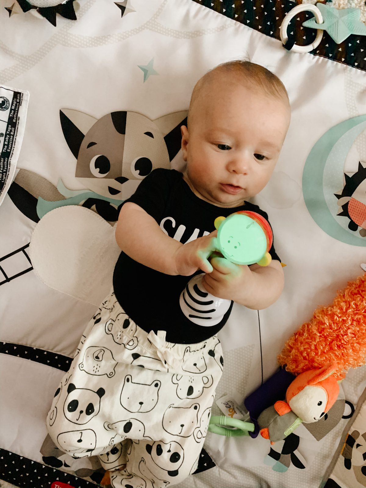 Baby Gray Update | 4 Months - My Kind of Sweet