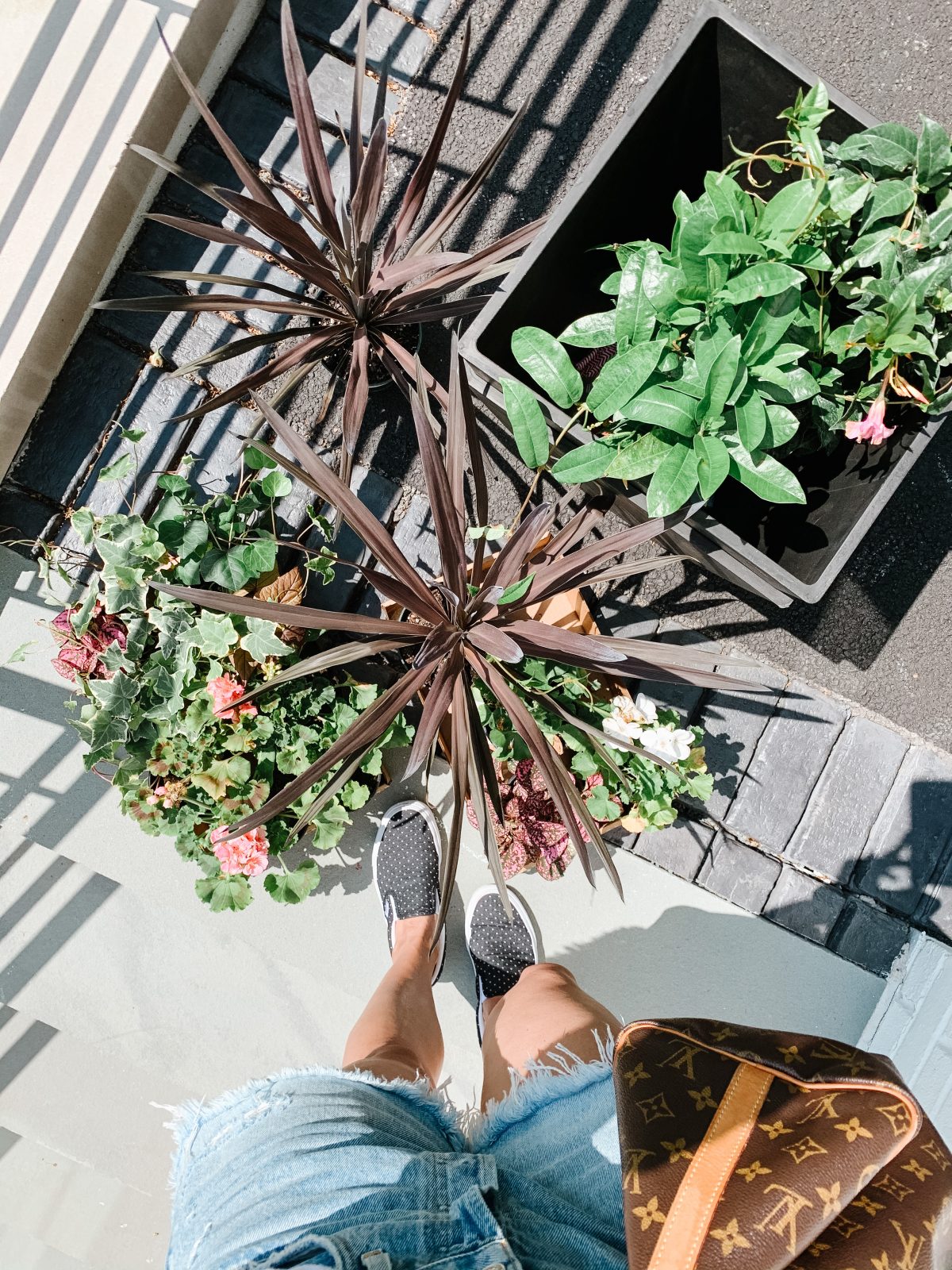 Planting Flowers In A Pot | Tips + Tricks - My Kind of Sweet