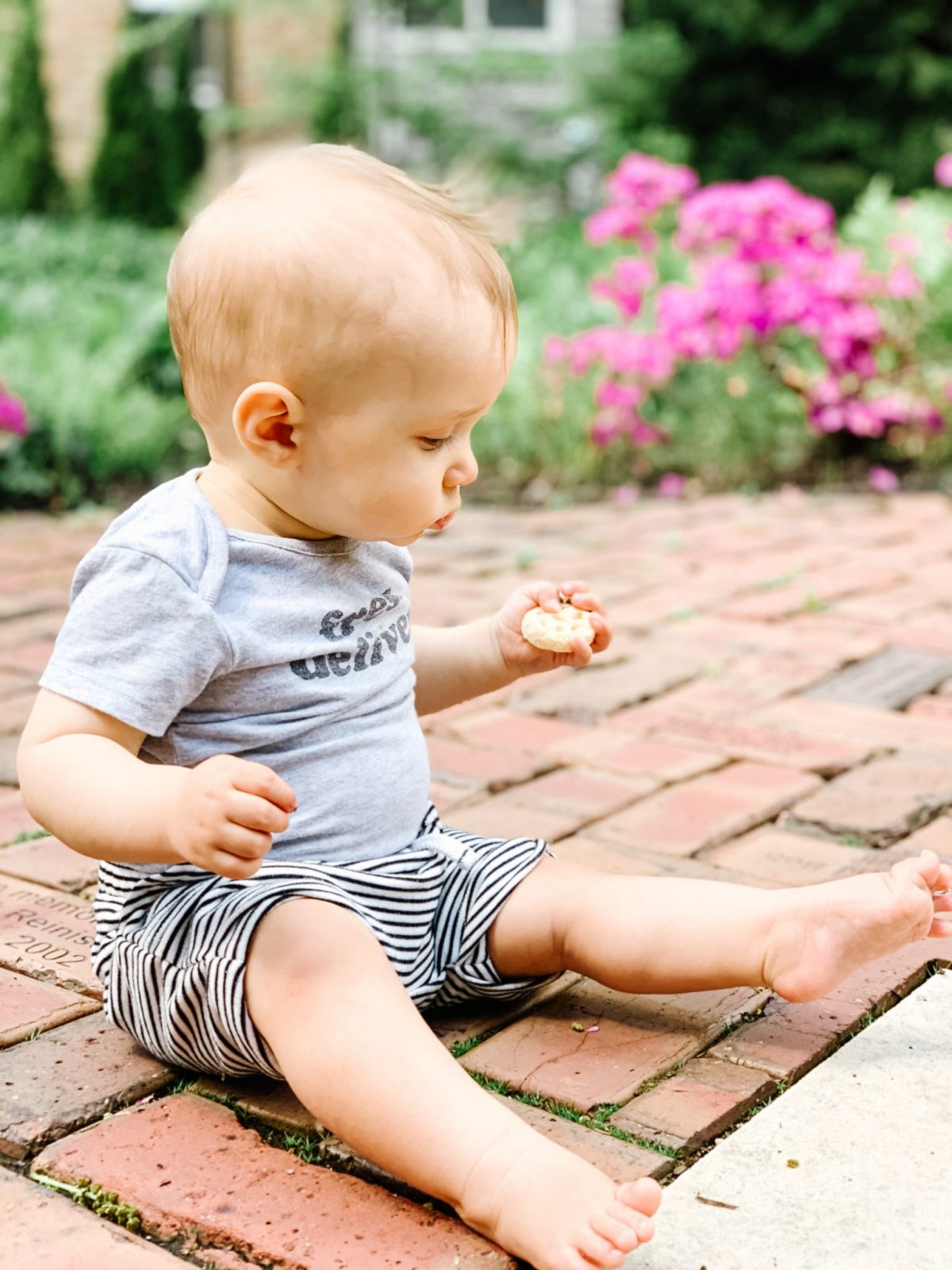 Baby Gray | 10 Month Update - My Kind of Sweet